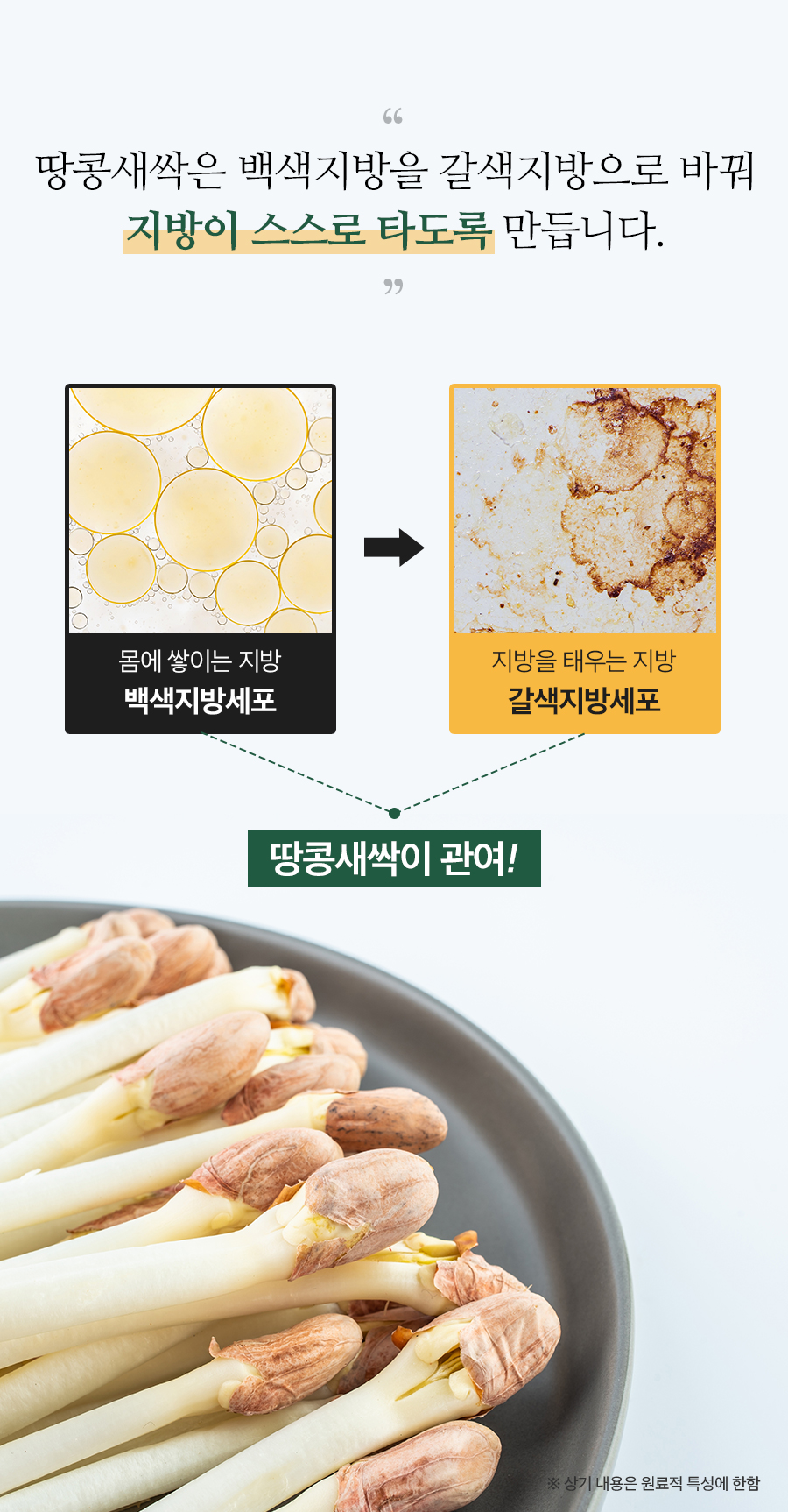 ktown4u.com : [Mommy care] mommy care Peanut Sprout Butter Powder